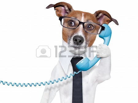 20102687-perro-de-negocios-con-una-corbata-y-gafas-de-escuchar-con ...